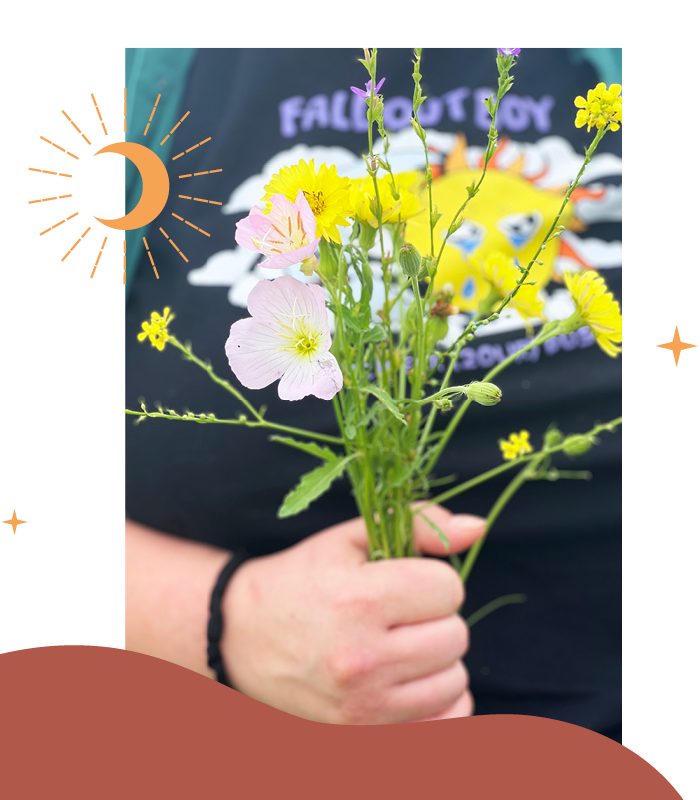 Women's Complex Trauma & Mental Health Care | Grace & Emerge Recovery